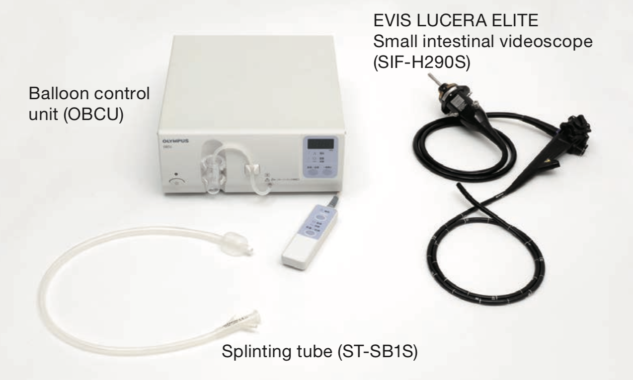 Basics of Therapeutic ERCP in Patients with Surgically Altered Anatomy ...