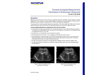 EUS Linear Scope Balloon Application - Olympus Professional Education ...